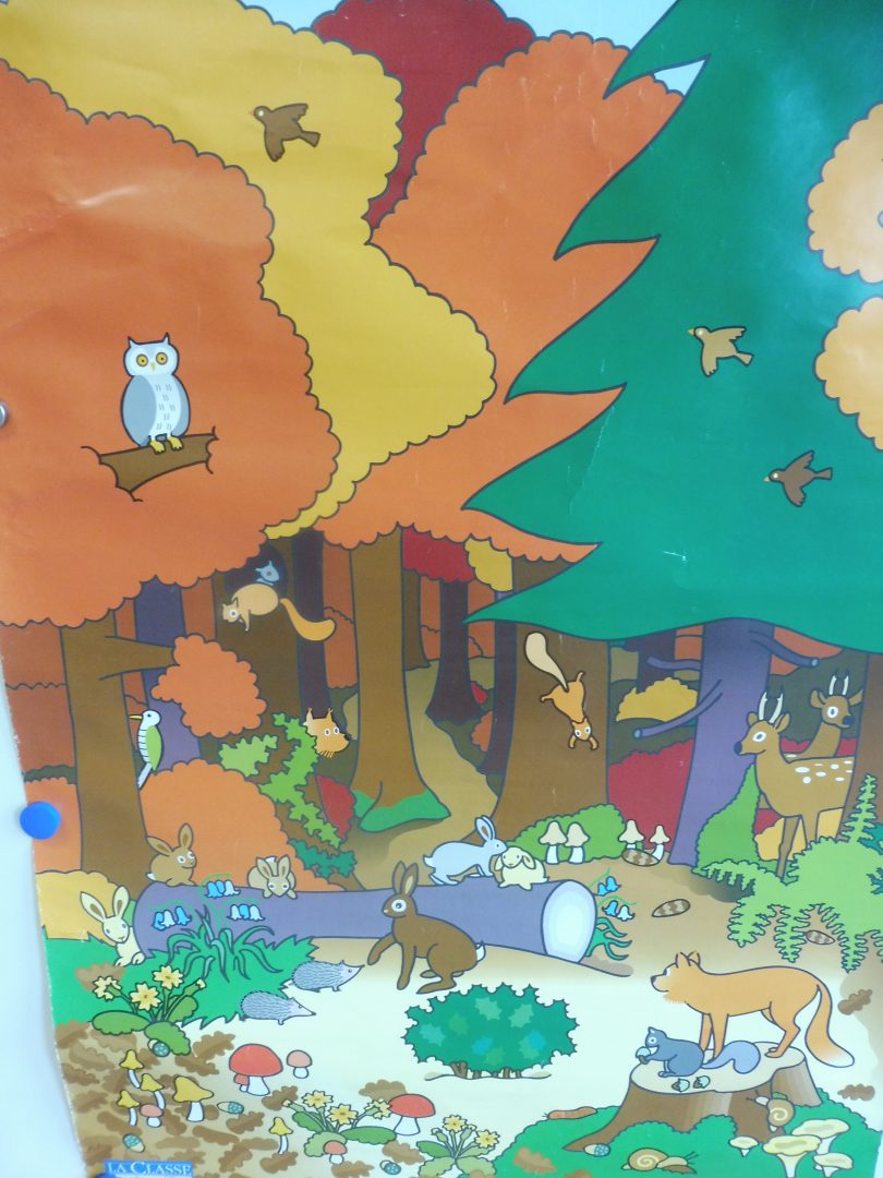 Les Animaux de la forêt | Pôle éducatif de Dampierre/Salon